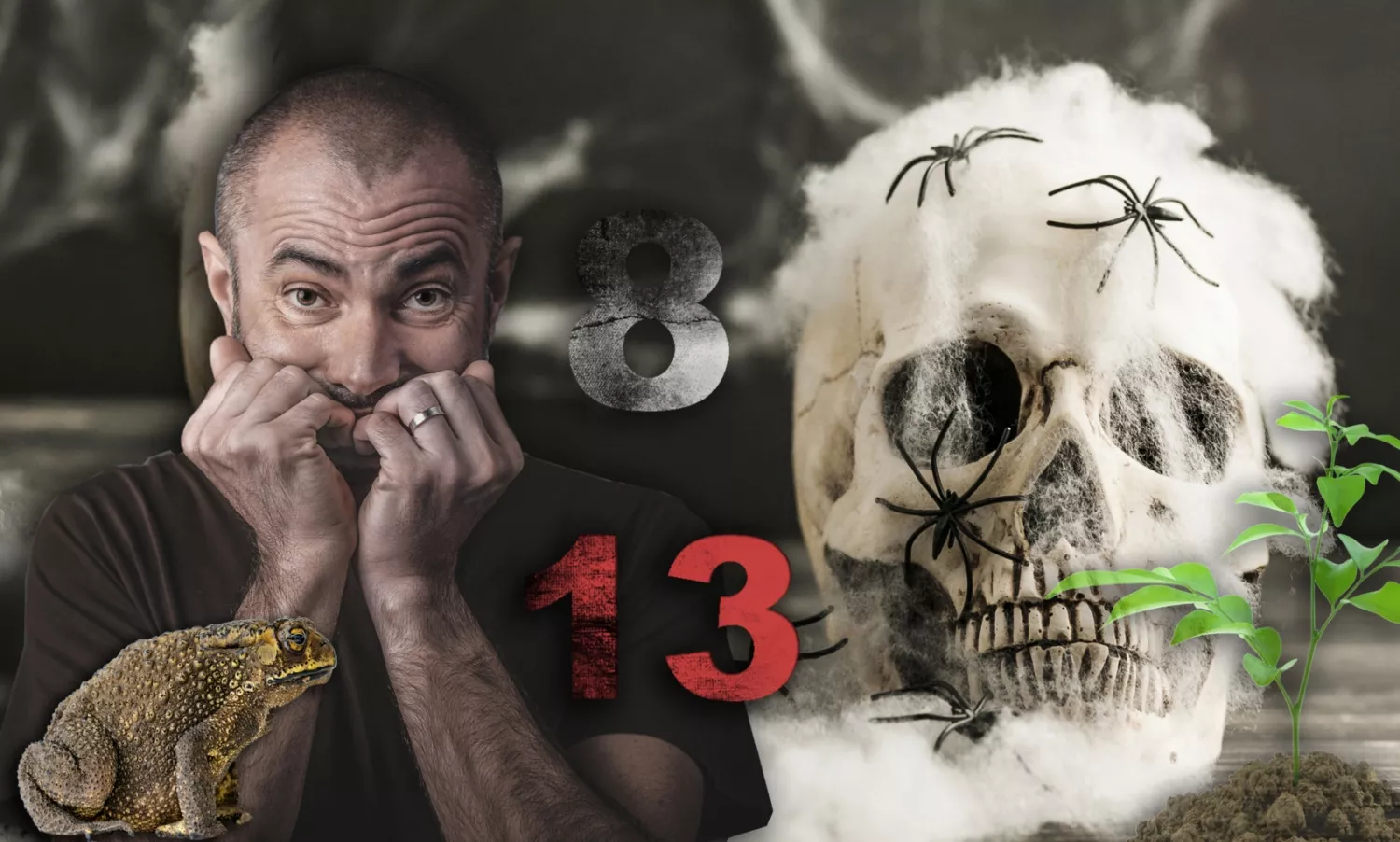 Fobijos. Kokių tik nebūna